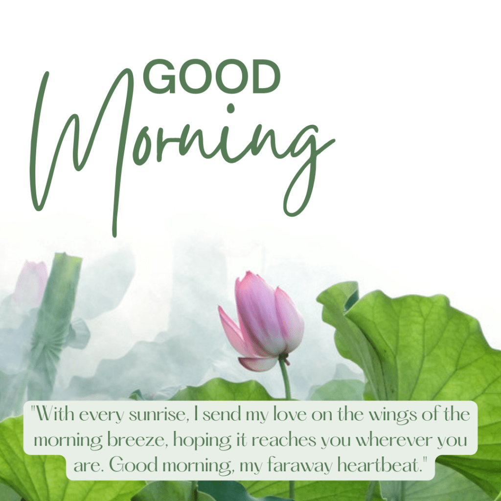 150+ Heart Touching Good Morning Love Quotes, Images & Gifs